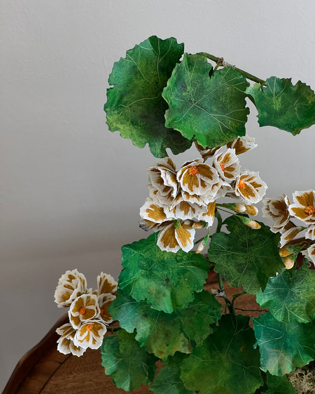 Paper flower "Ochre Pelargonium" – Millefiori Interior